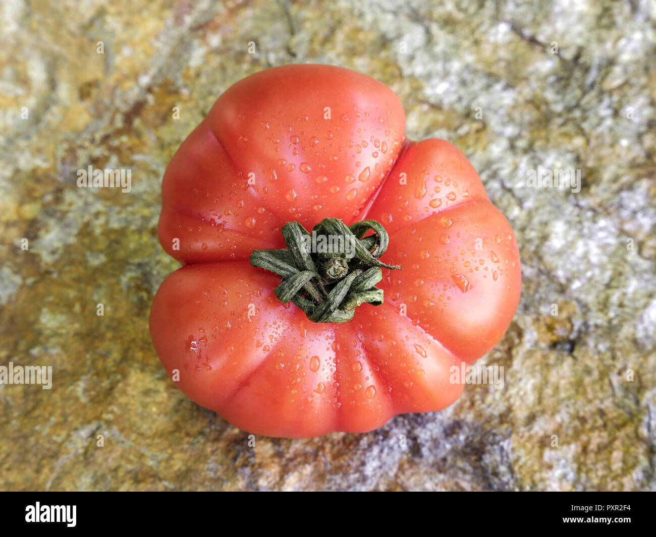 Red Marinda Tomato, phase 3, from Sicily Stock Photo - Alamy