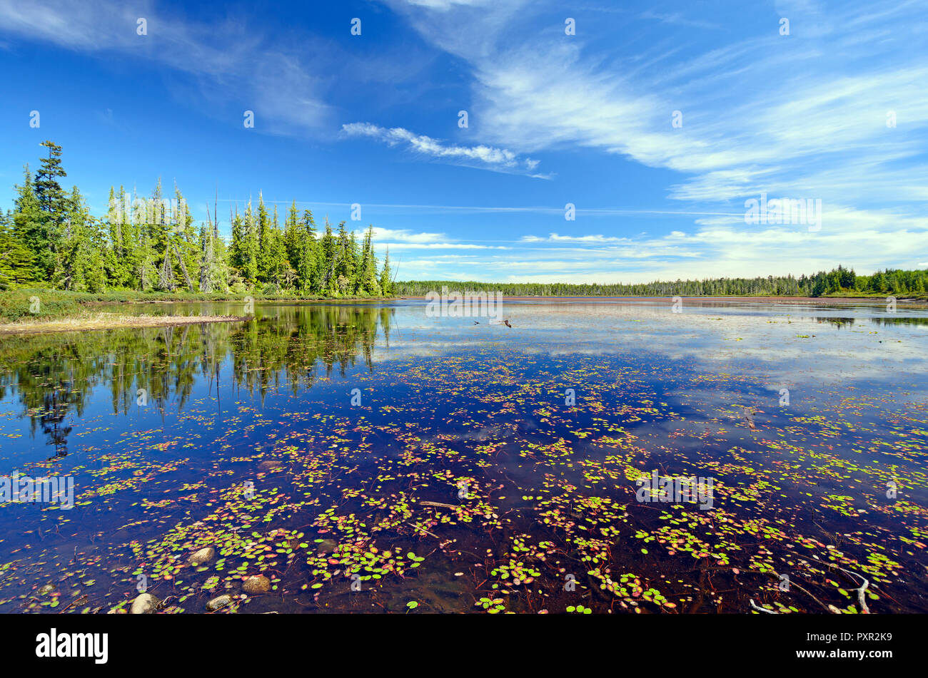 Misty island canada hi-res stock photography and images - Alamy