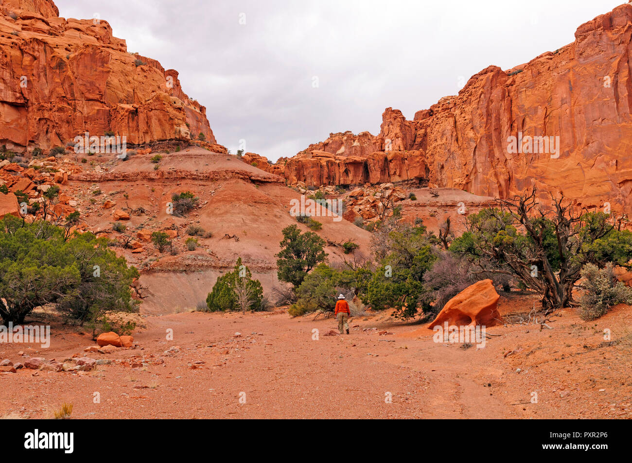 Capital of desert hi-res stock photography and images - Alamy