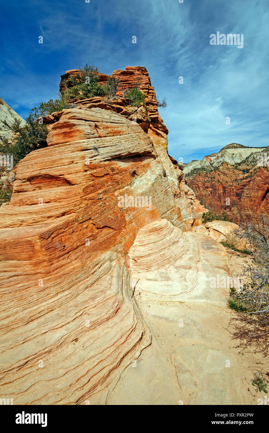 Sandstone Ridge along the Angel's landing Trail Stock Photo - Alamy