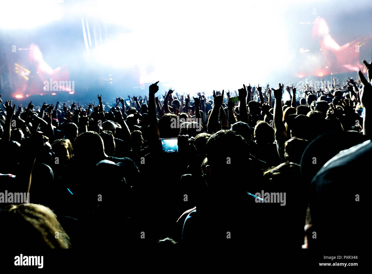 Concert Audience Background