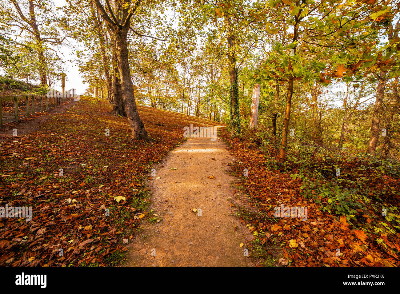Path through park hi-res stock photography and images - Alamy