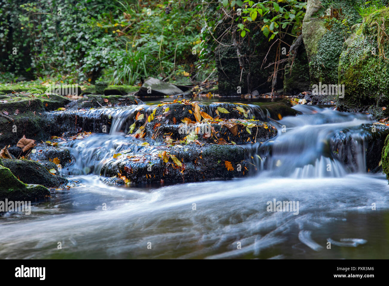 Autumn trees river hi-res stock photography and images - Alamy