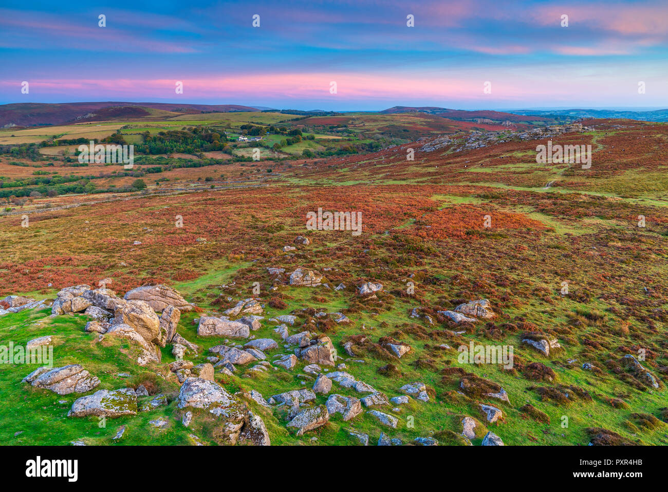 Haytor Rocks seen from Saddle Tor, Dartmoor National Park, Ilsington ...