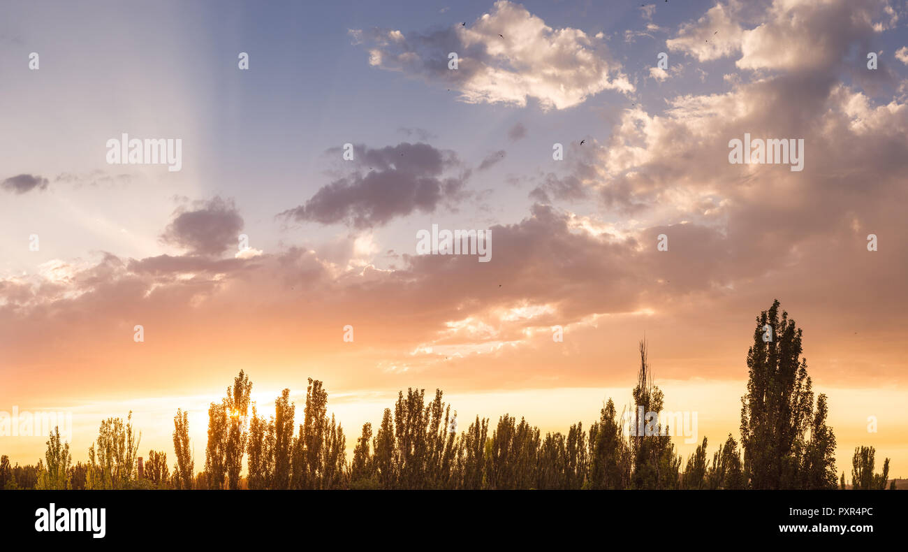 Landscape with dramatic light - beautiful golden sunset with saturated ...