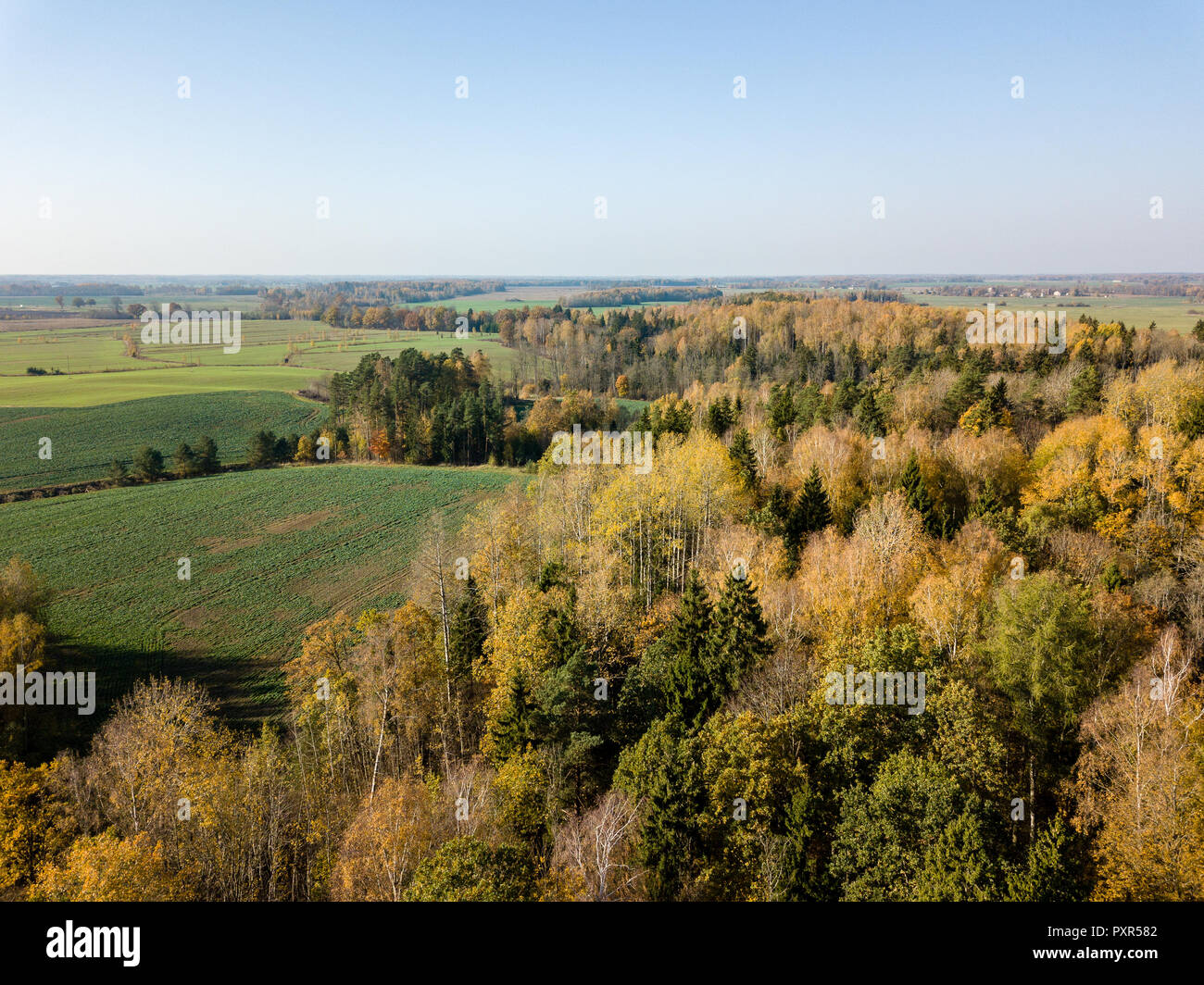 drone image. aerial view of rural area with fields and forests in ...