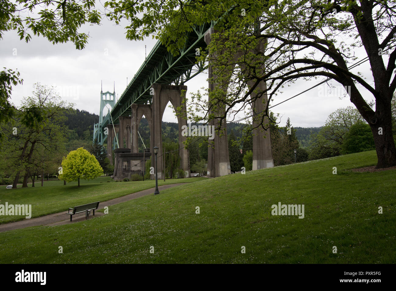 Cathedral Park in Portland, Oregon under the St Johns Bridge on an ...