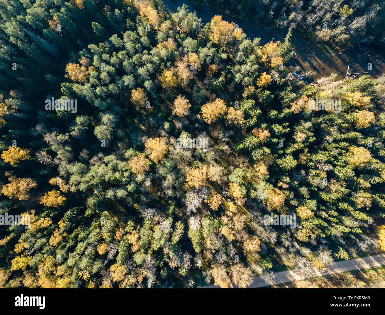 drone image. aerial view of rural area in autumn with yellow and red ...