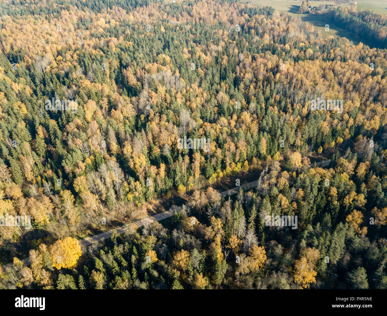 drone image. aerial view of rural area with fields and forests in ...
