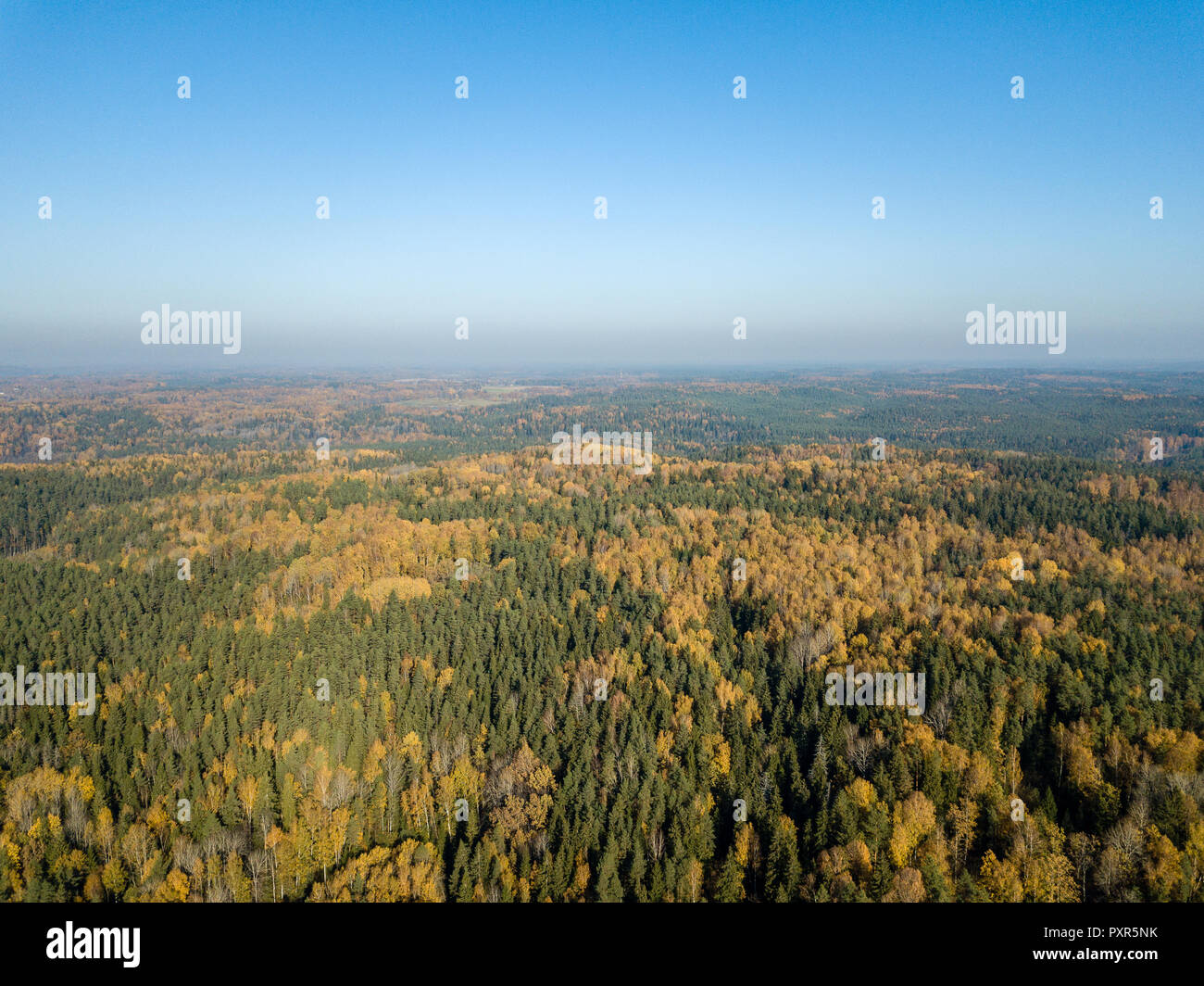 drone image. aerial view of rural area with fields and forests in ...