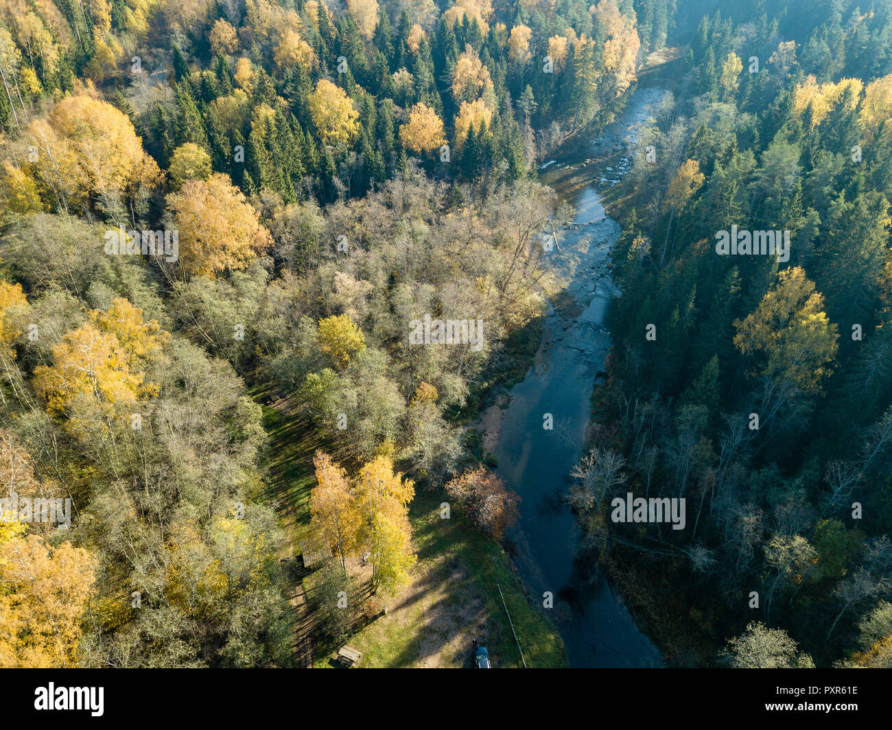 drone image. aerial view of rural area with fields and forests in ...