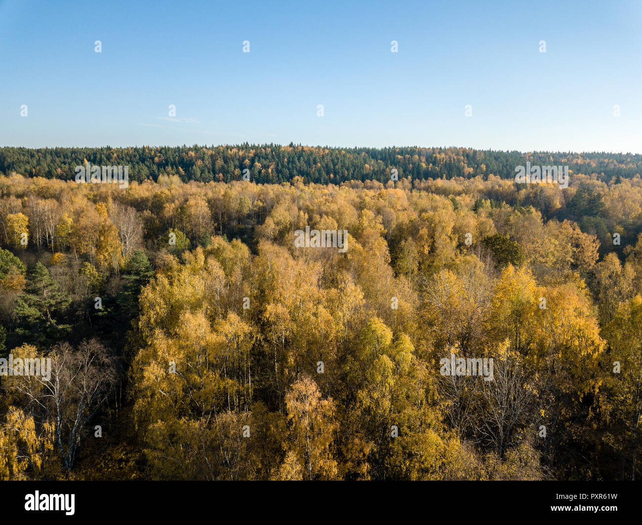 drone image. aerial view of rural area with fields and forests in ...