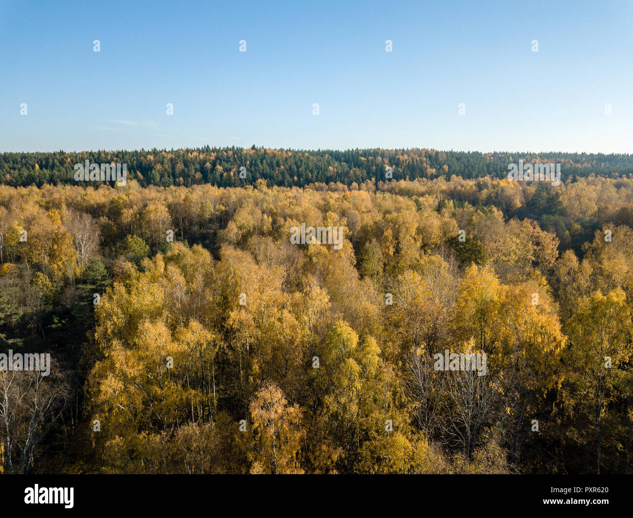 drone image. aerial view of rural area with fields and forests in ...