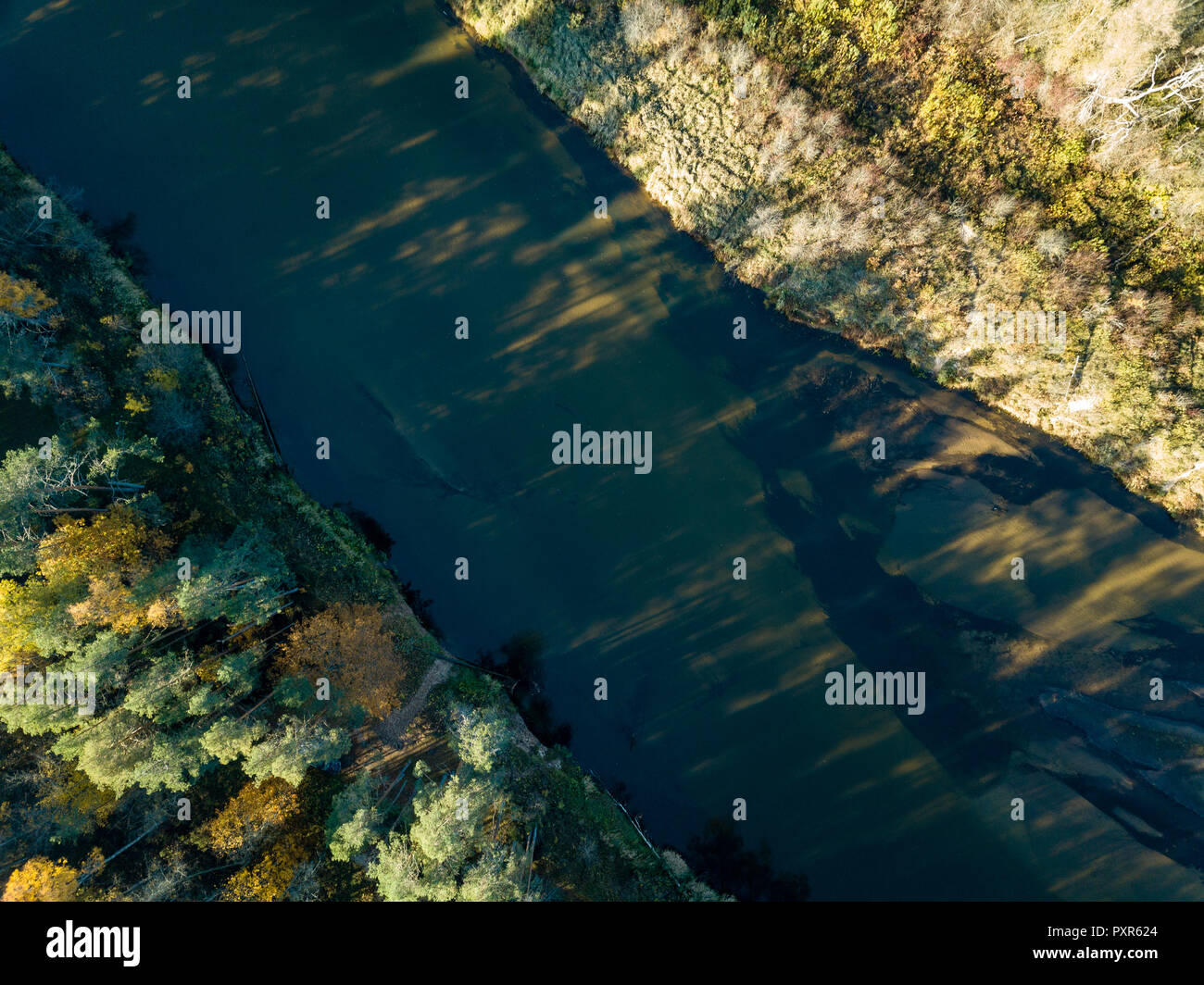 drone image. aerial view of wavy river in autumn colored forest. latvia ...
