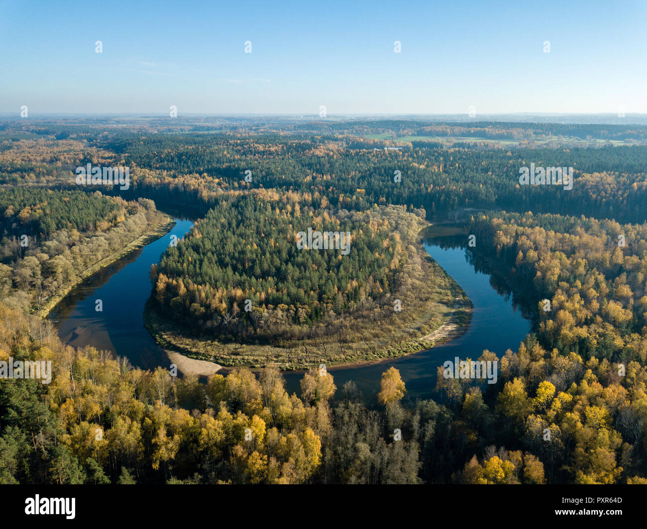 drone image. aerial view of wavy river in autumn colored forest. latvia ...