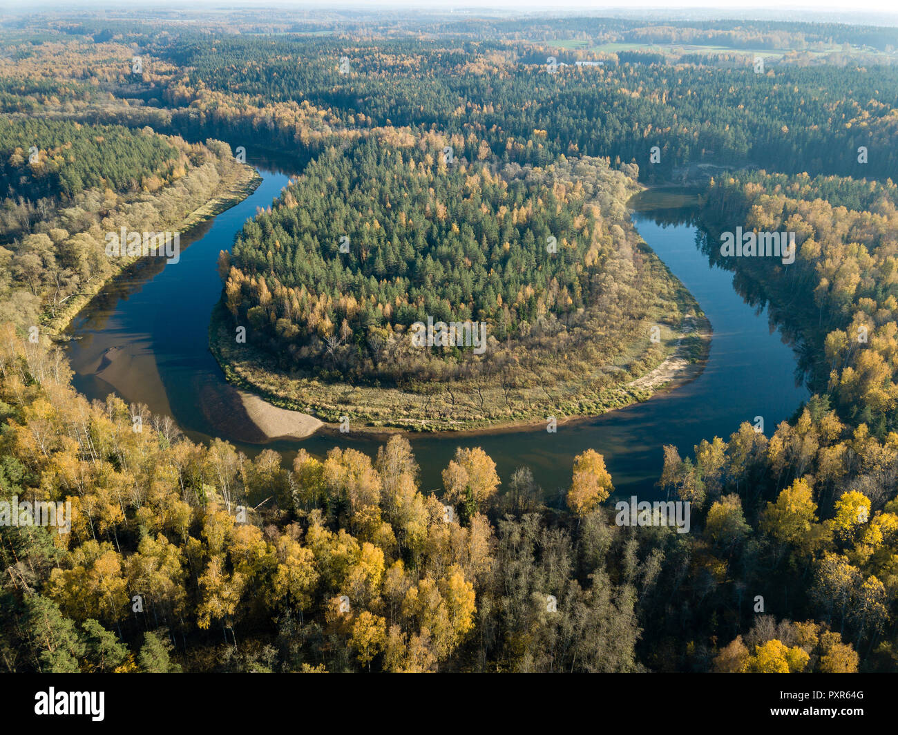 drone image. aerial view of wavy river in autumn colored forest. latvia ...