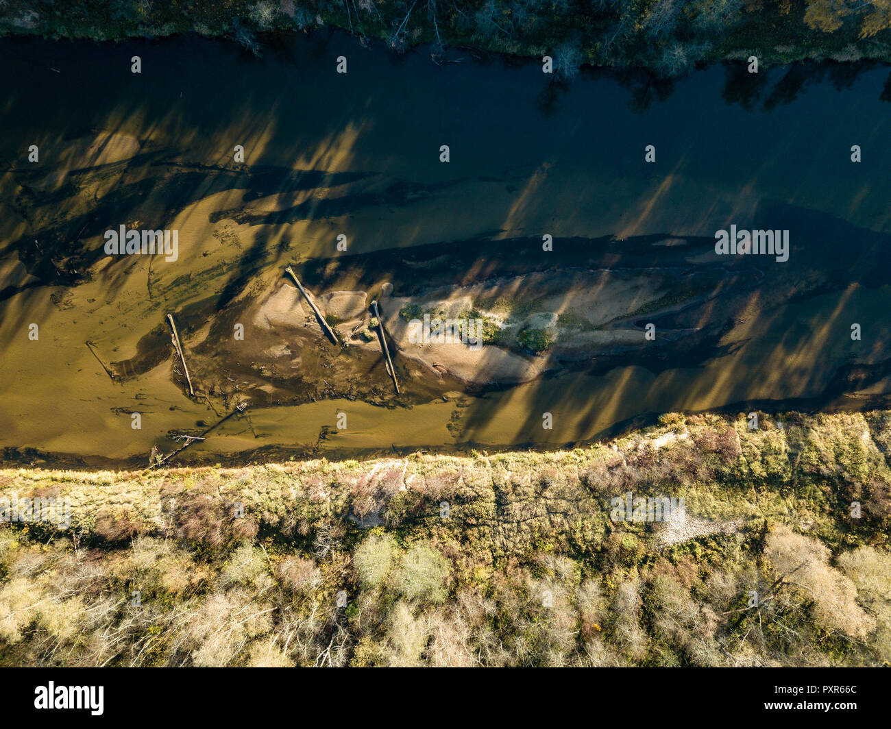 drone image. aerial view of wavy river in autumn colored forest. latvia ...