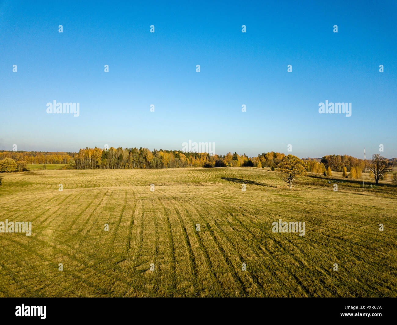 drone image. aerial view of rural area with fields and forests in ...