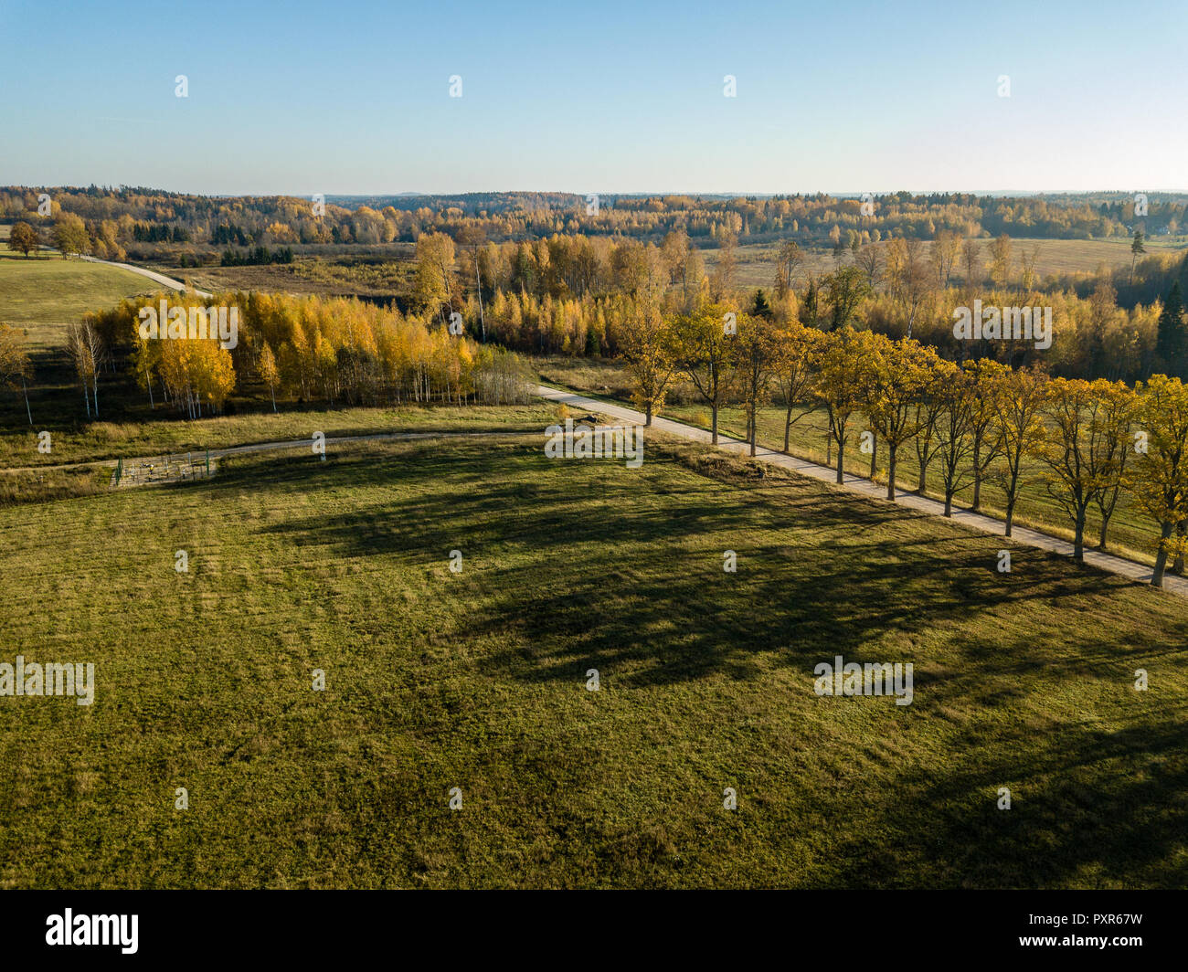 drone image. aerial view of rural area with fields and forests in ...