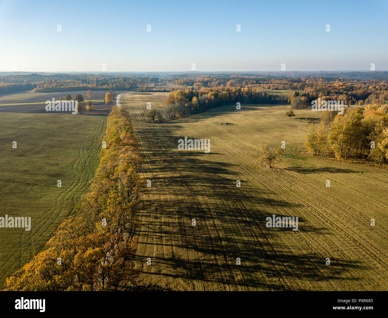 drone image. aerial view of rural area with fields and forests in ...
