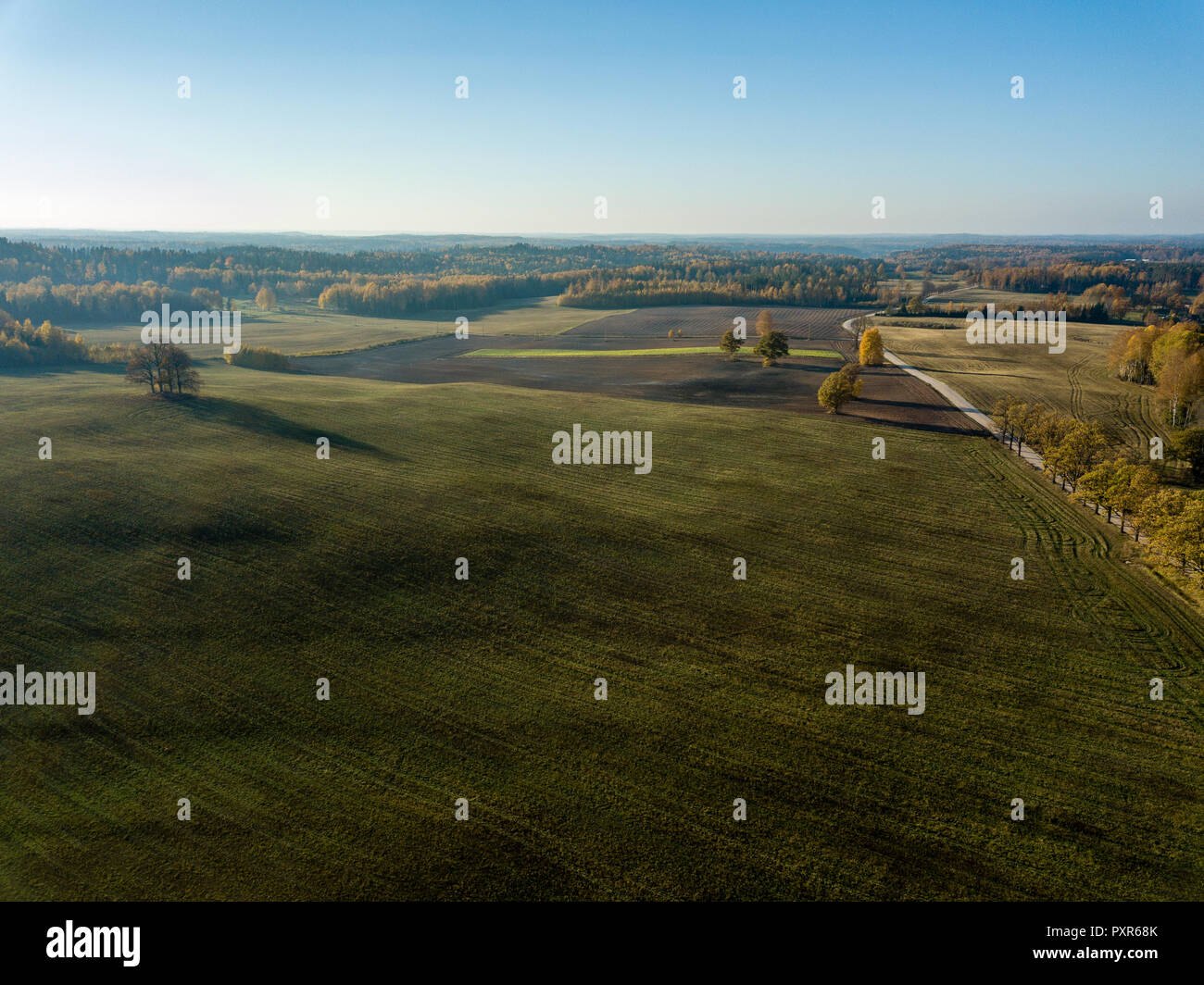 drone image. aerial view of rural area with fields and forests in ...