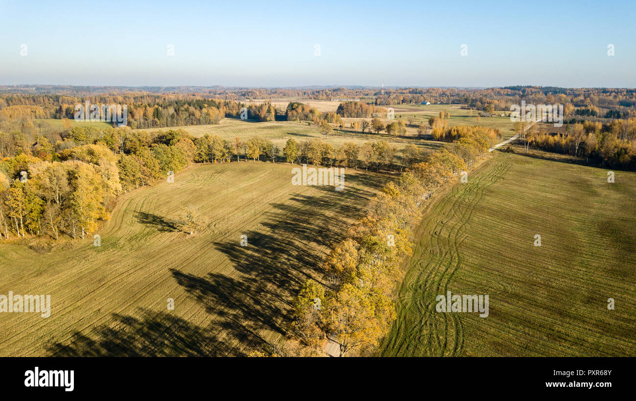 drone image. aerial view of rural area with fields and forests in ...