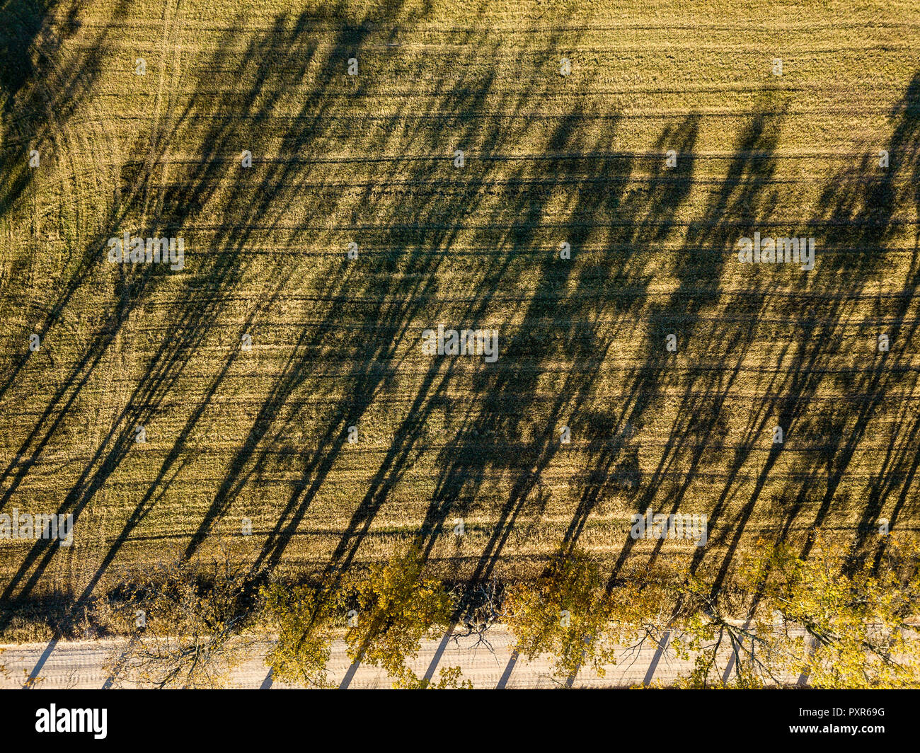 drone image. aerial view of rural area with fields and forests in ...