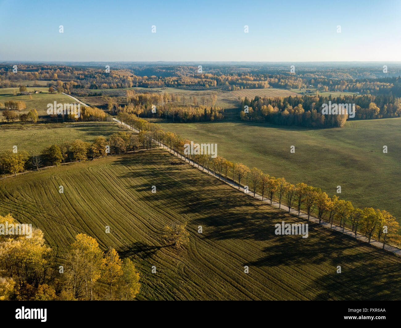 drone image. aerial view of rural area with fields and forests in ...