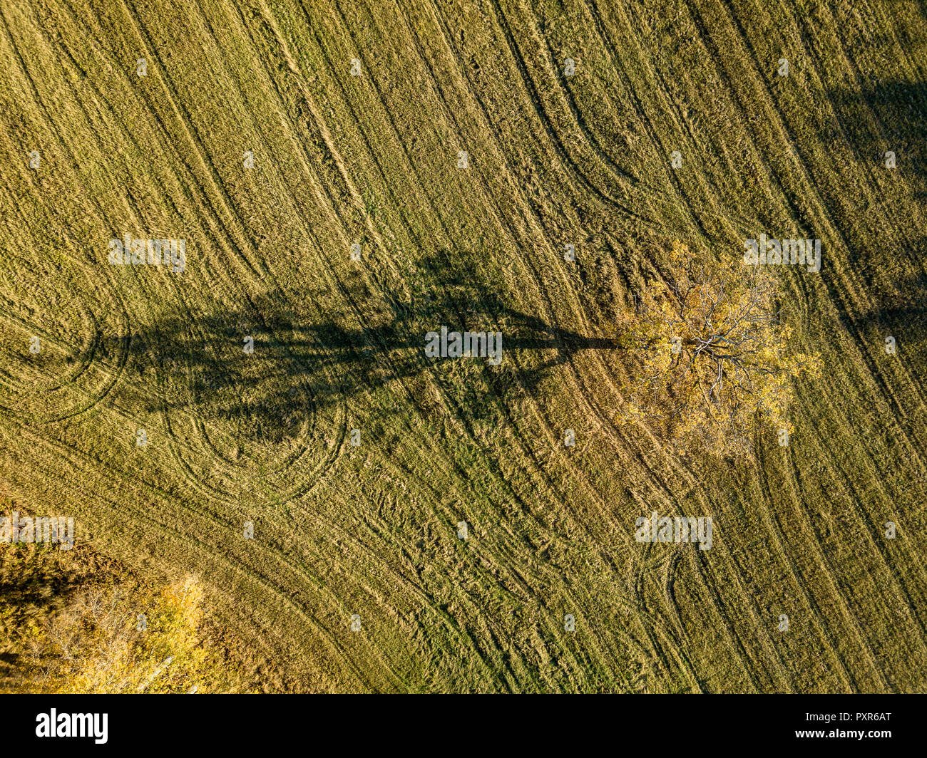 drone image. aerial view of rural area with fields and forests in ...