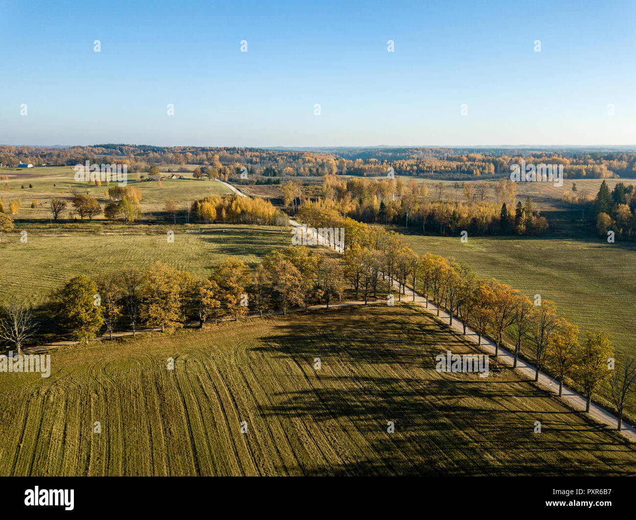 drone image. aerial view of rural area with fields and forests in ...