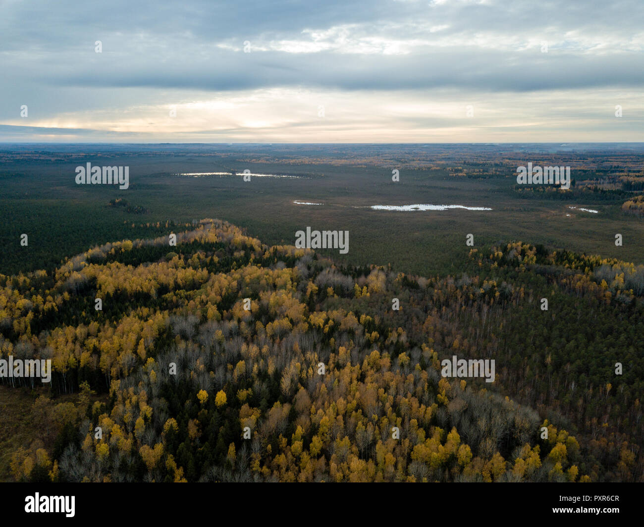 drone image. aerial view of rural area with fields and forests in ...