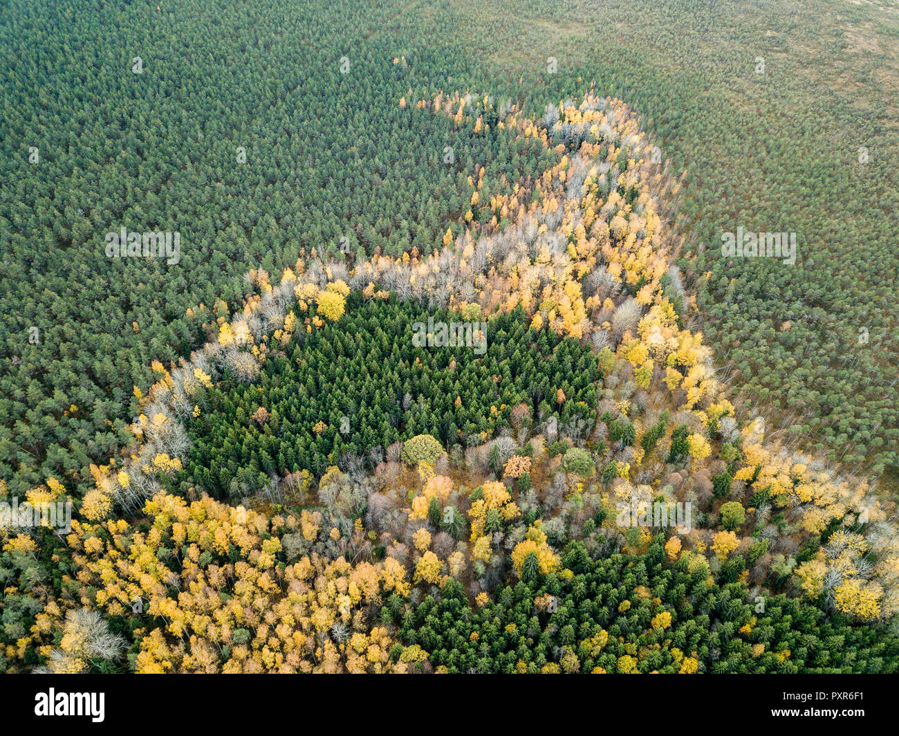 drone image. aerial view of rural area in autumn with yellow and red ...