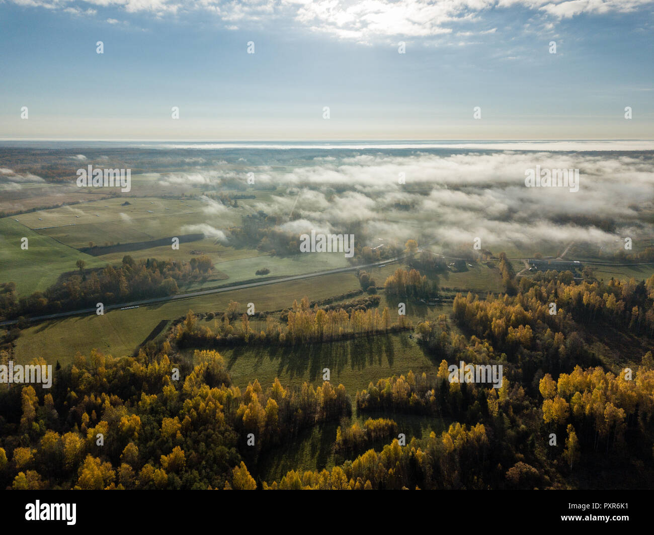 drone image. aerial view of rural area with fields and forests covered ...