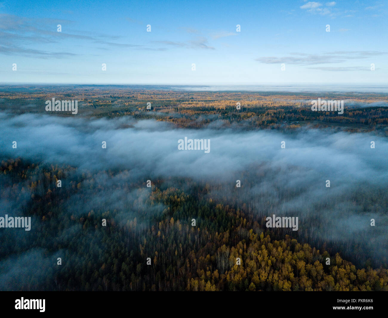 drone image. aerial view of rural area with fields and forests covered ...