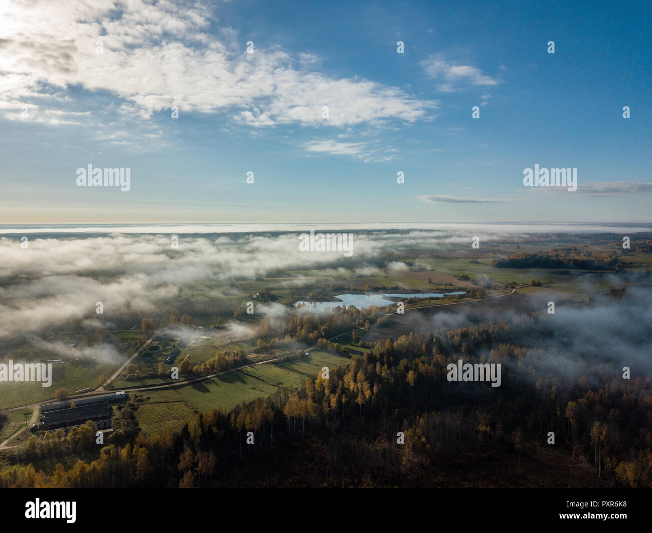 drone image. aerial view of rural area with fields and forests covered ...