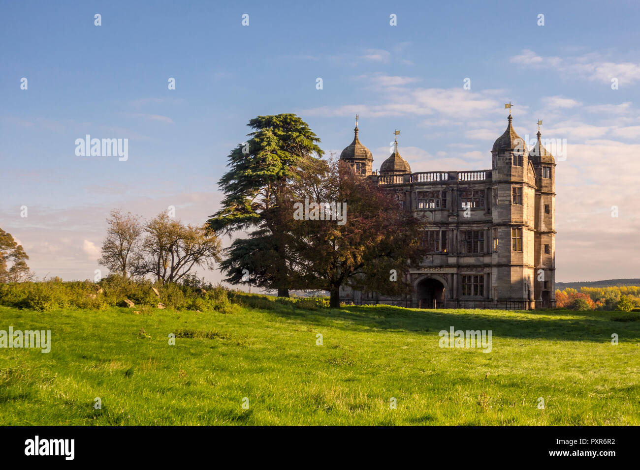 Cannock chase hi-res stock photography and images - Alamy