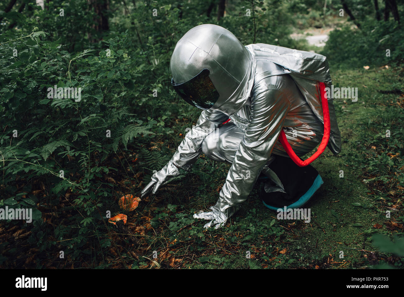 Spaceman exploring nature, examining plants in forest Stock Photo - Alamy