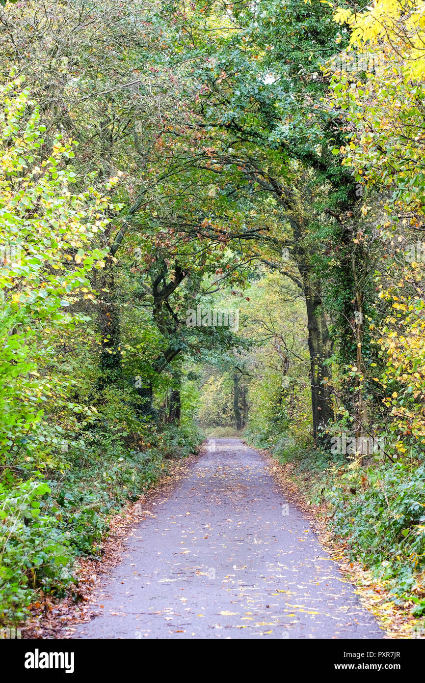 autumn colour in loughborough Stock Photo - Alamy