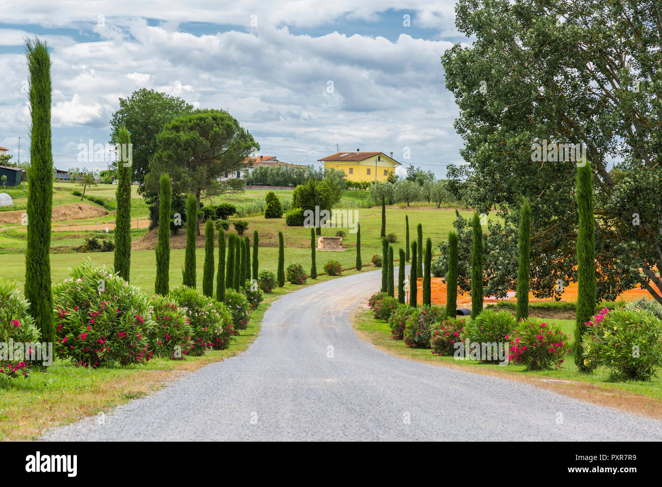 Country road in cultural landscape hi-res stock photography and images ...