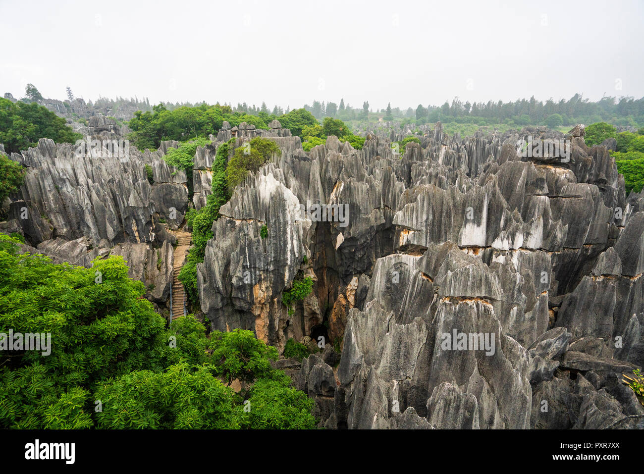 Shilin stone forest hi-res stock photography and images - Alamy