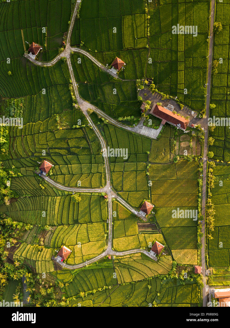 Indonesia, Bali, Kedungu, Aerial view Stock Photo - Alamy