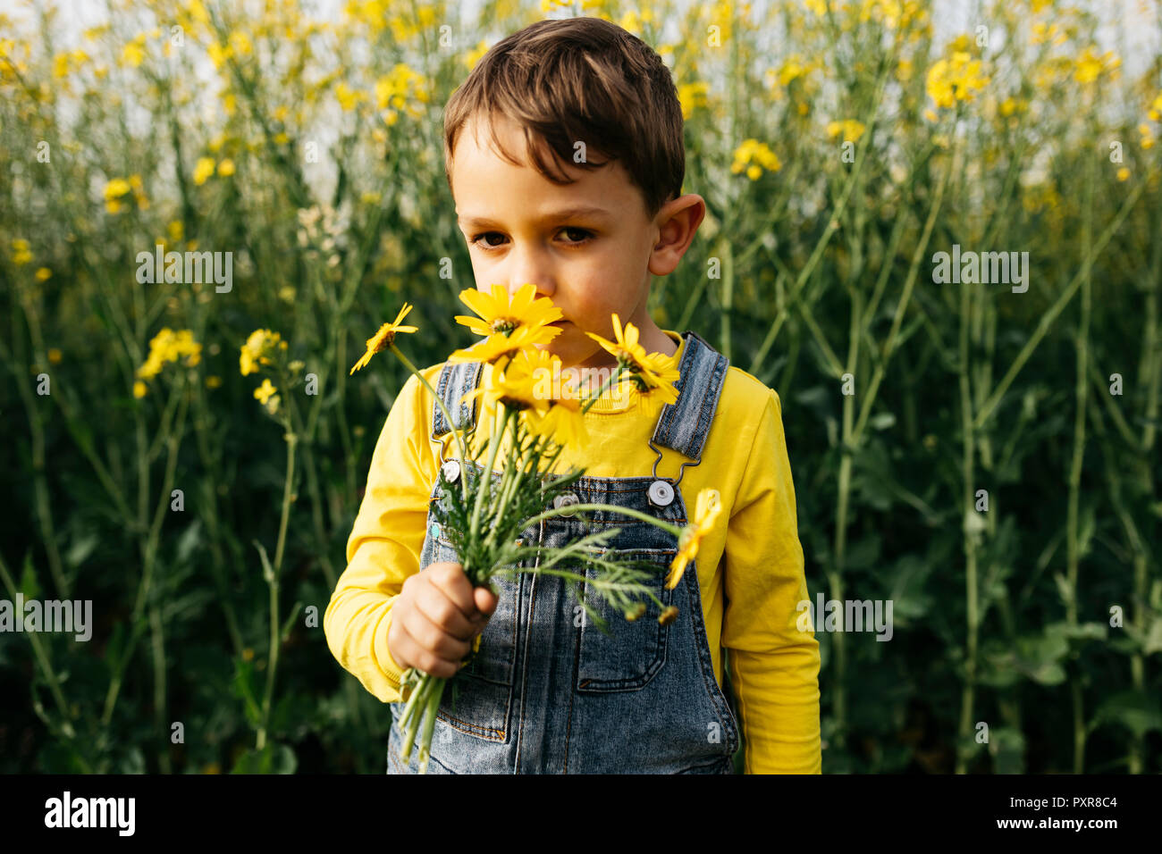 Portrait of little boy smelling picked flowers in nature Stock Photo ...