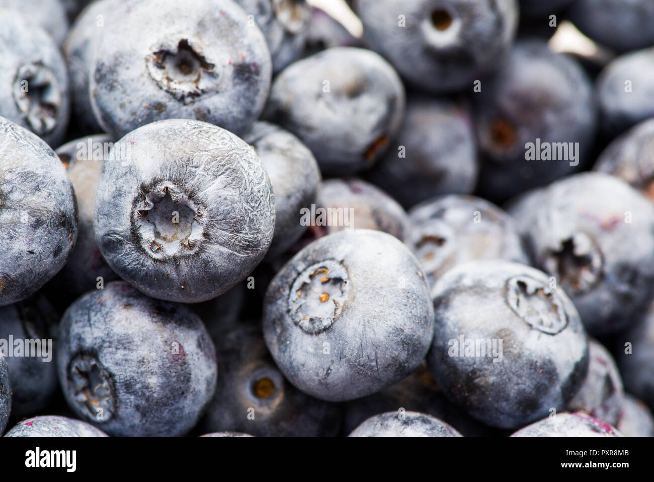 blueberry berries closeup Stock Photo - Alamy