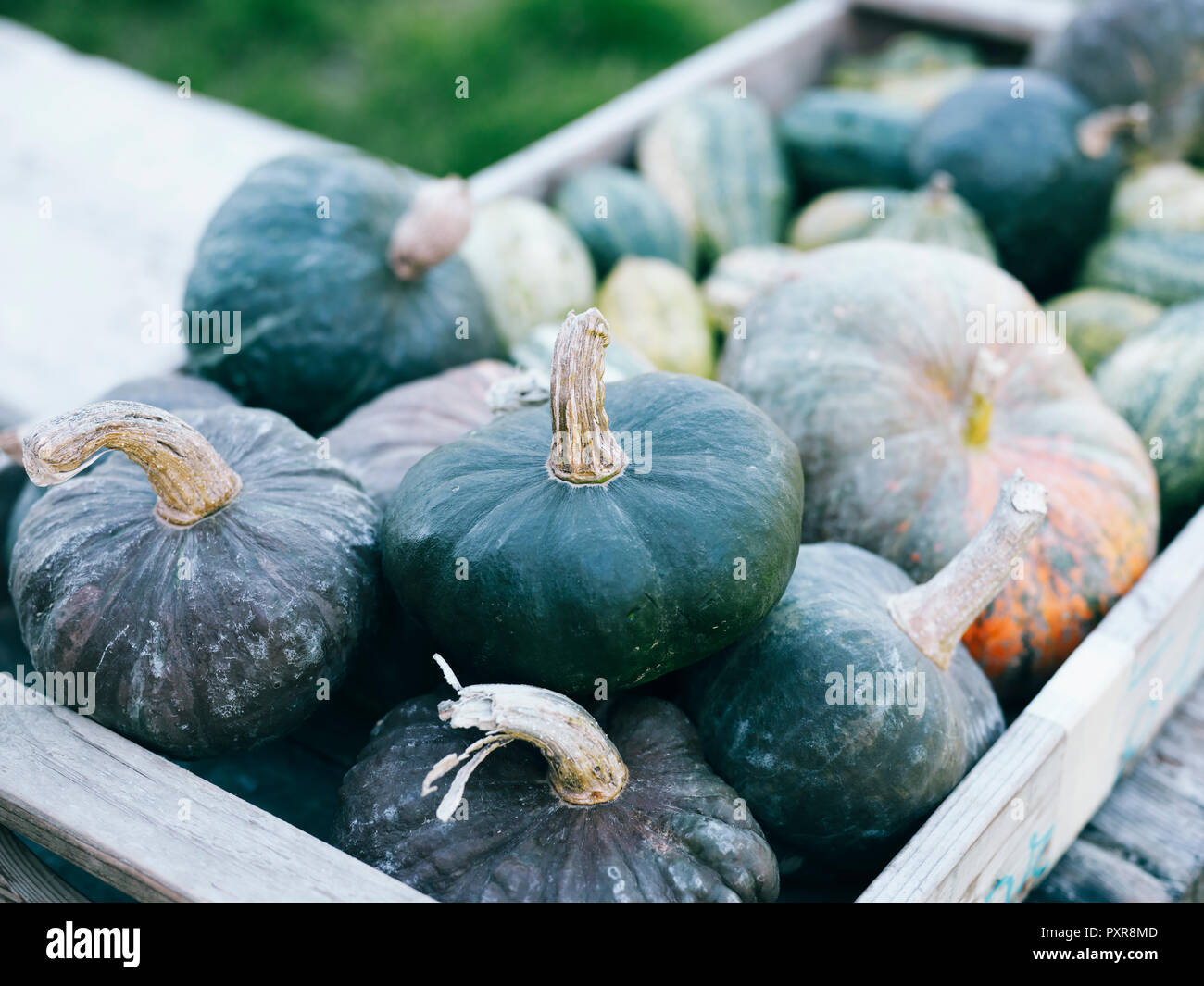 Large wooden boxes hi-res stock photography and images - Alamy