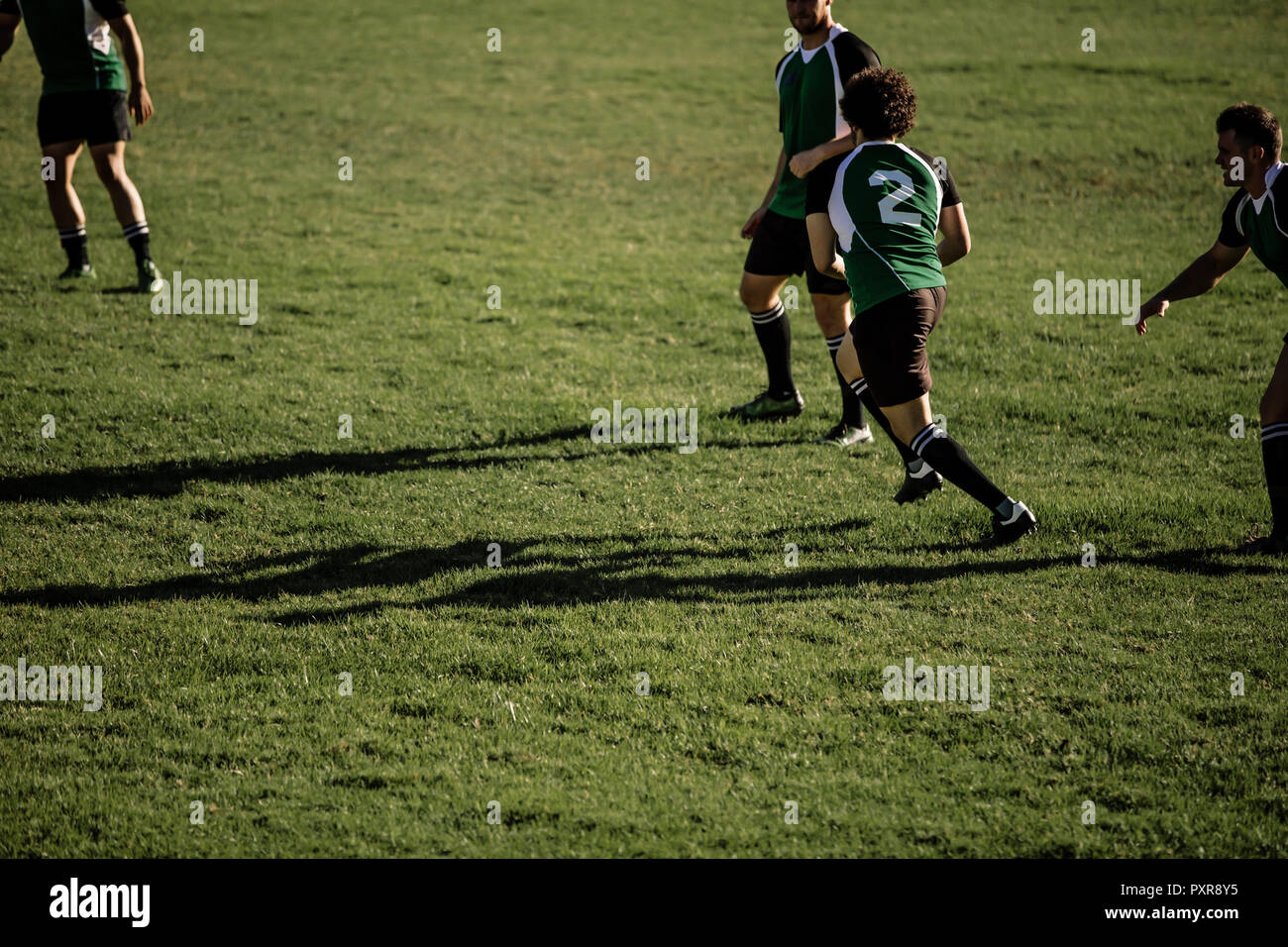 Rugby pitch grass hi-res stock photography and images - Alamy