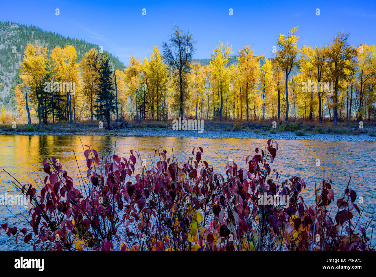 Princeton bc canada hi-res stock photography and images - Alamy