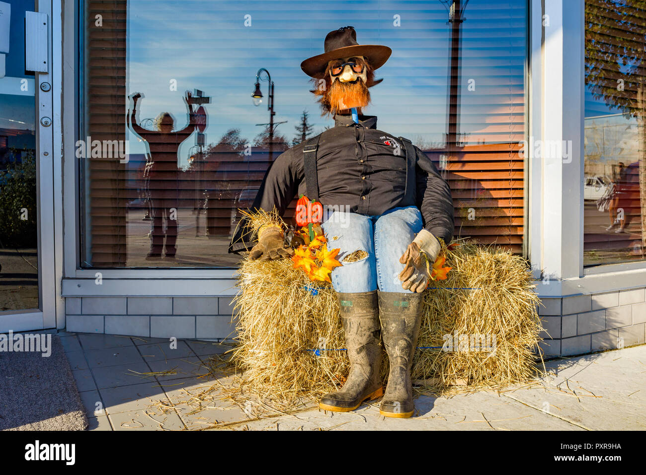 Ladner bc hi-res stock photography and images - Alamy