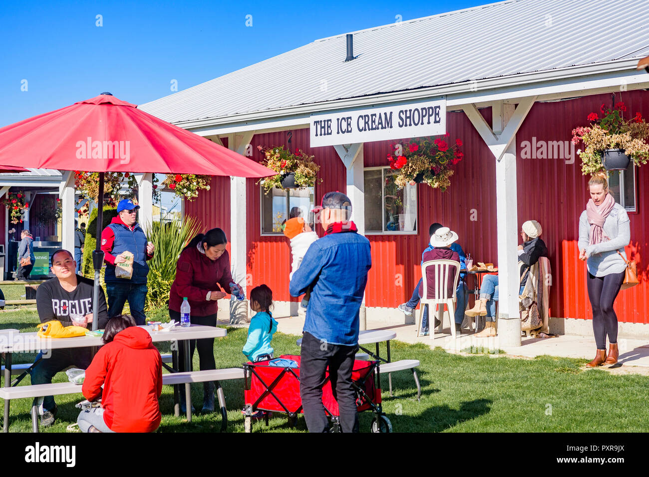 Emma lea farm hi-res stock photography and images - Alamy