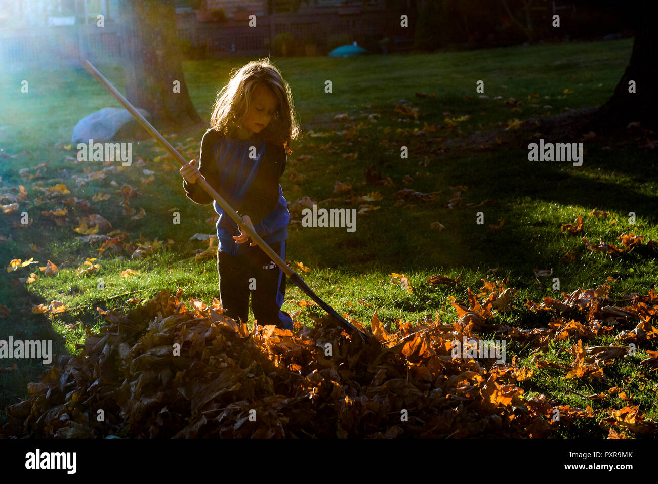 Child raking leaves hi-res stock photography and images - Alamy