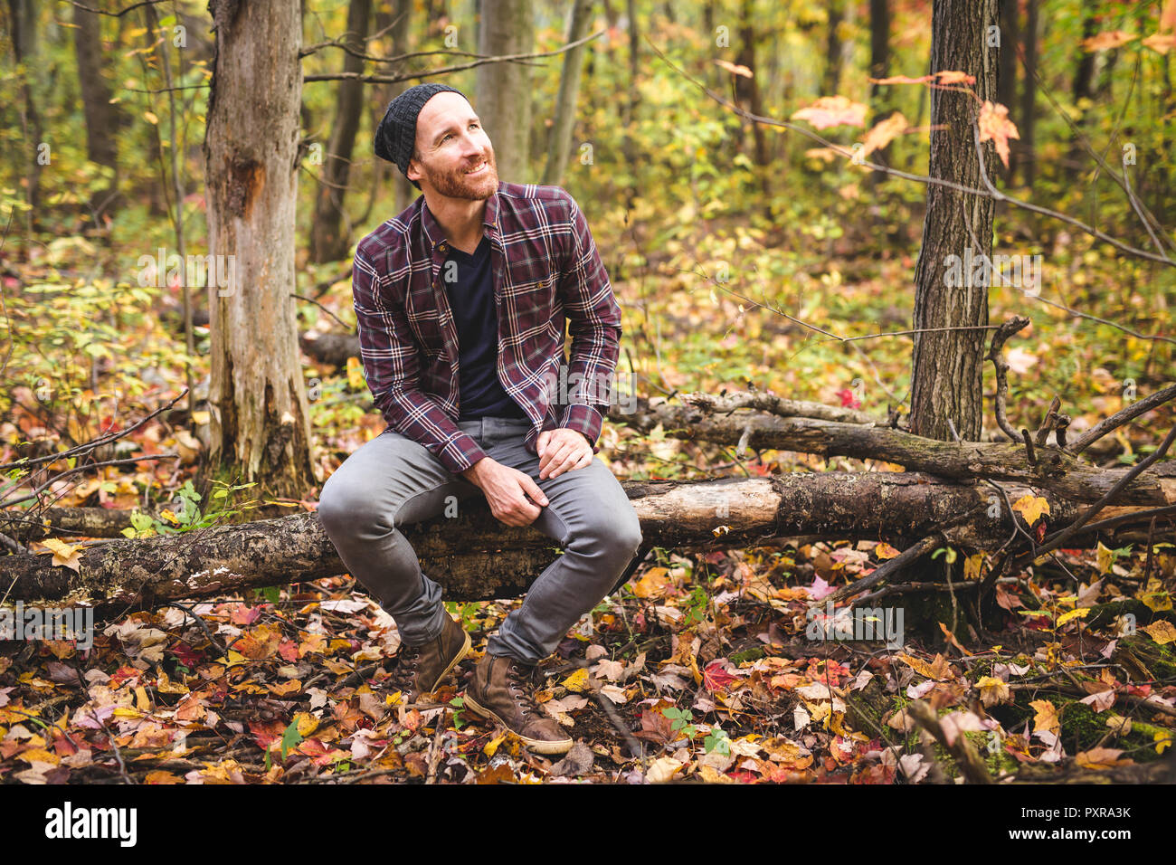 Leaves looking male model hi-res stock photography and images - Alamy